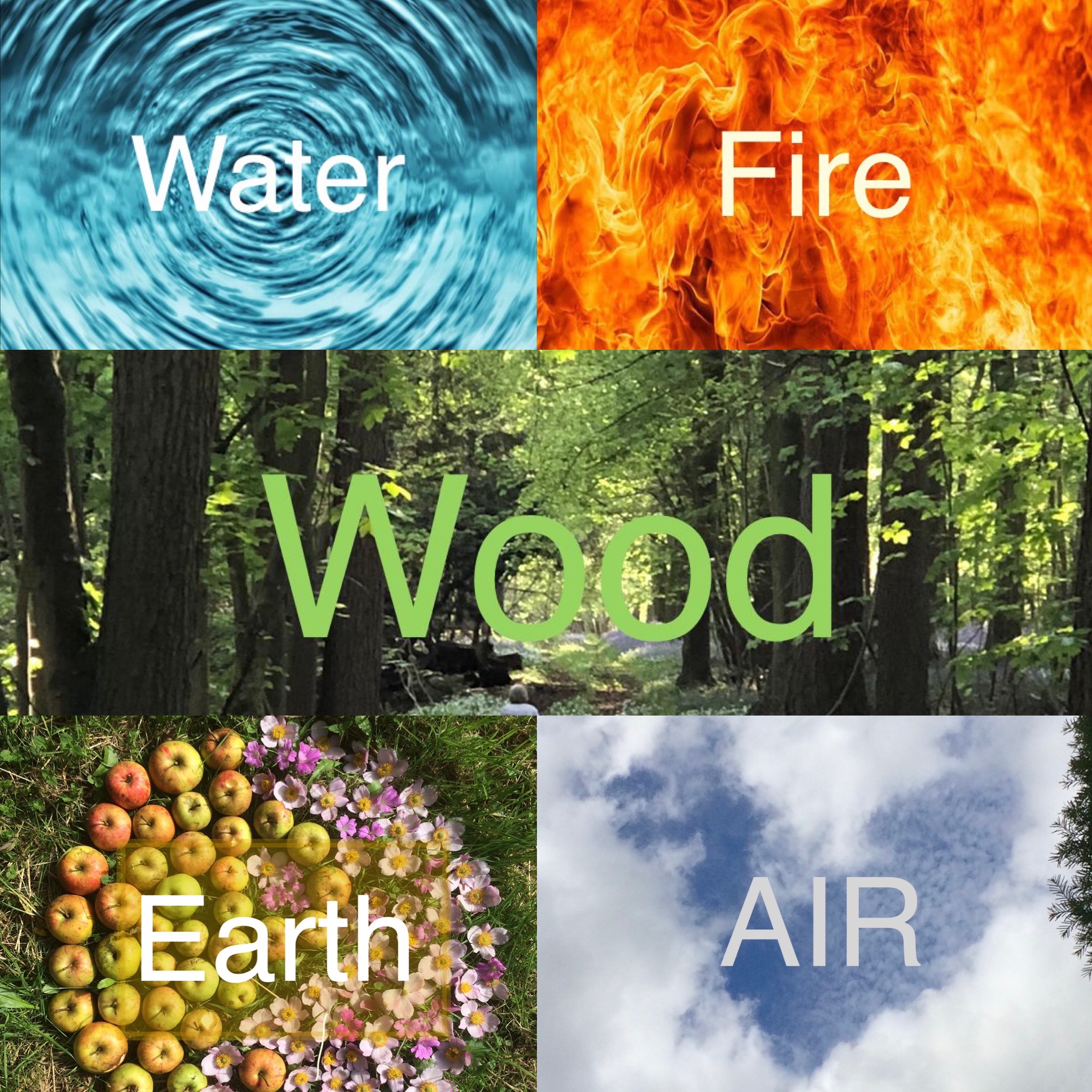 Five Element Qigong Course – Sunhouse