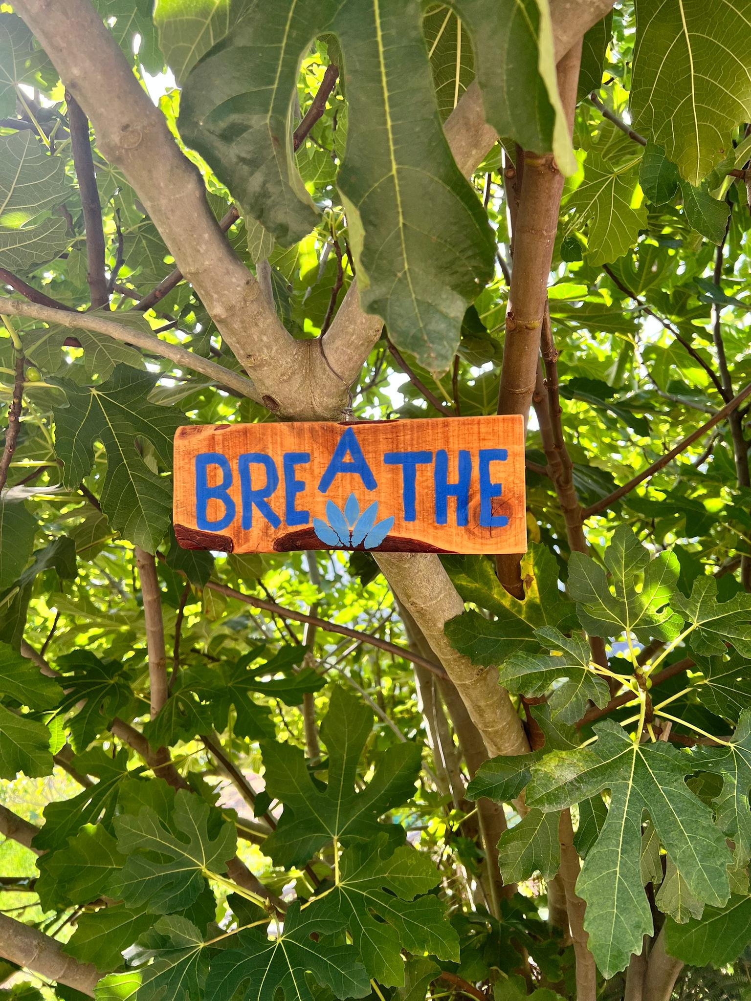 One to One Breathwork – Sunhouse